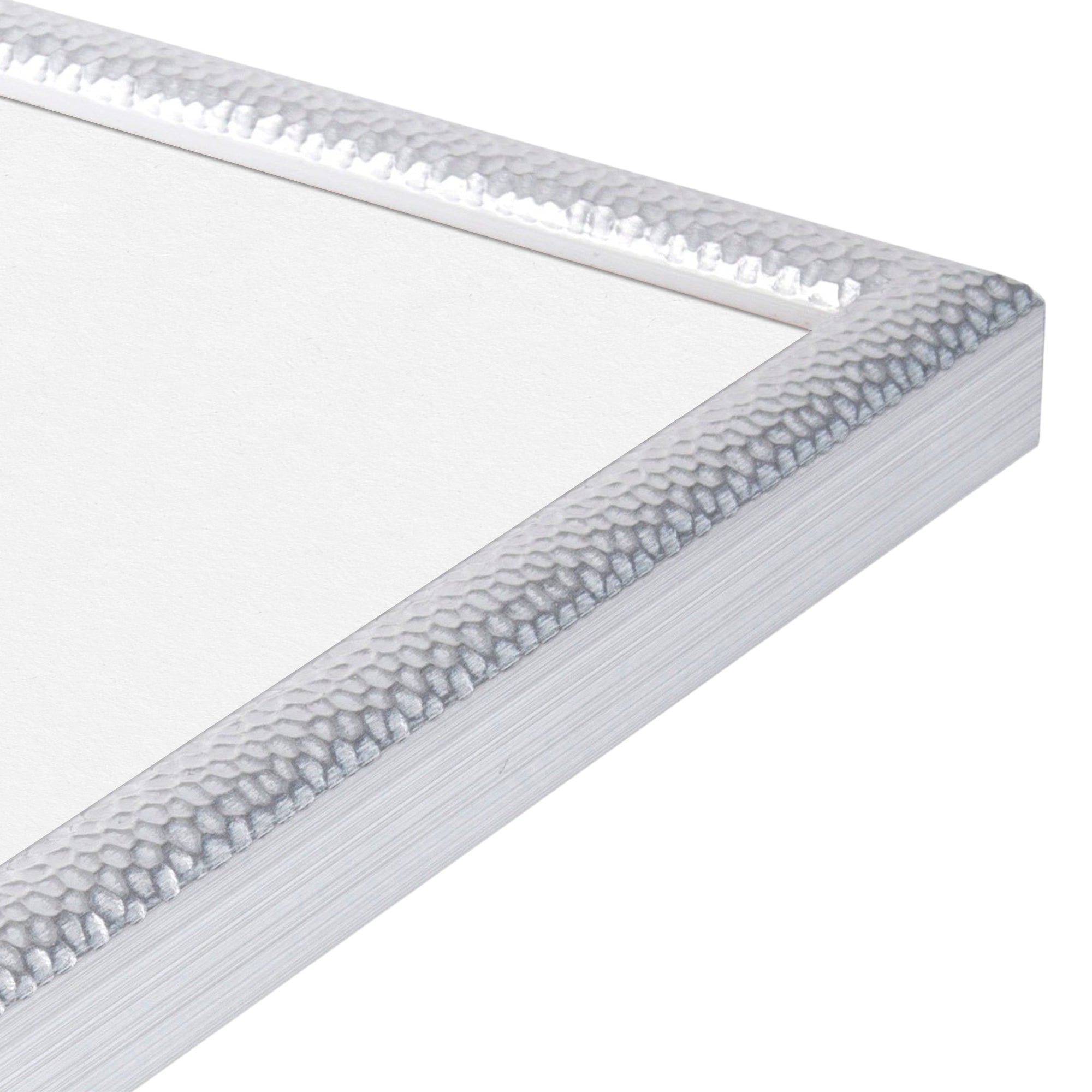 Hammered Silver Medium Width Wall Frame – Frametolia.