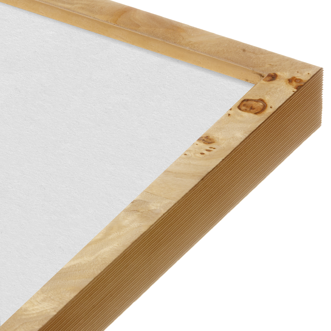 16" x 16" Wall Frames – Frametolia.