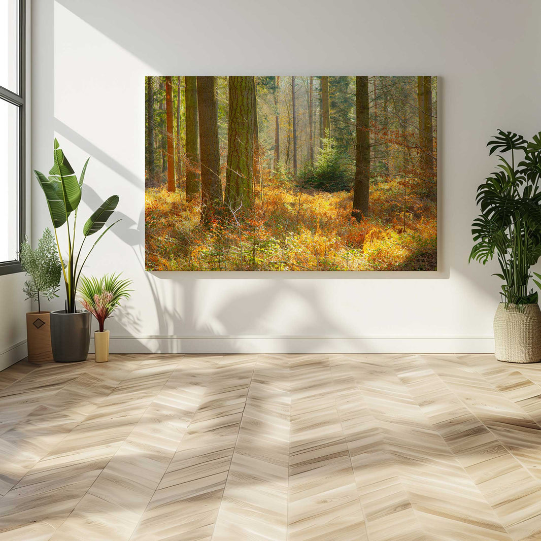 Large Art - Landscape Format – Frametolia.