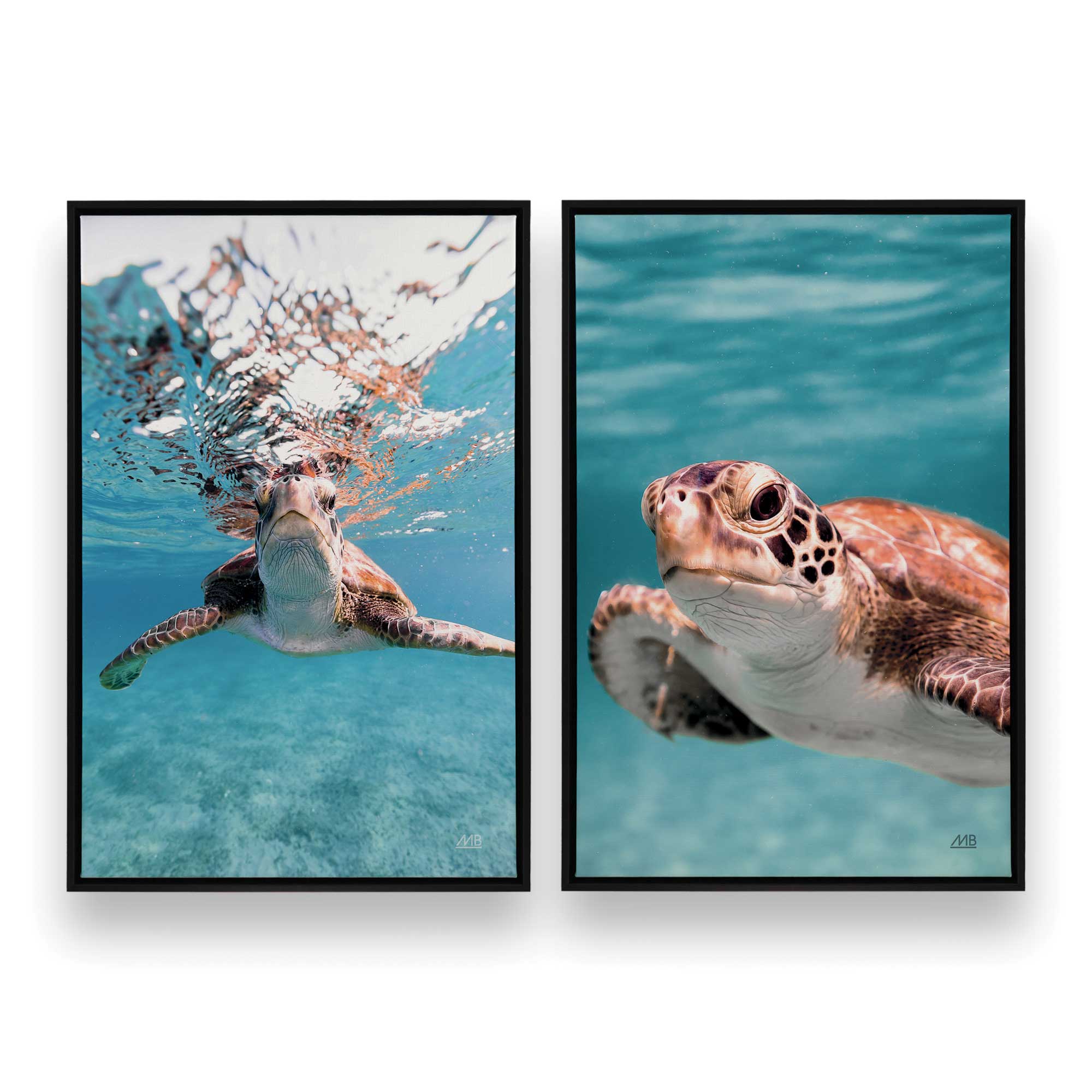 Sea Turtles' Path, Set of 2 Prints on Canvas – Frametolia.
